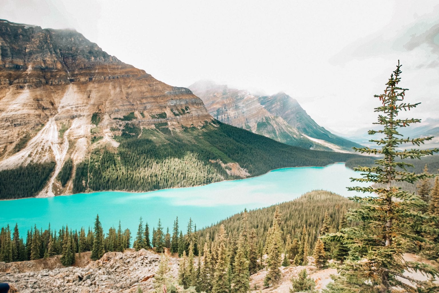 Exploring Banff in September - Pretty in the Pines, New York City ...