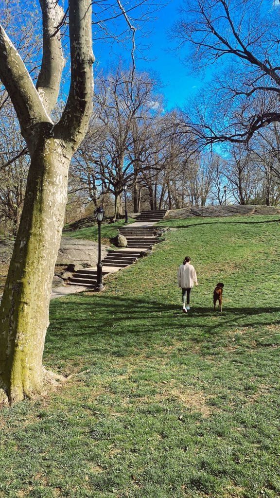 A Walk in the Park - Pretty in the Pines, New York City Lifestyle Blog